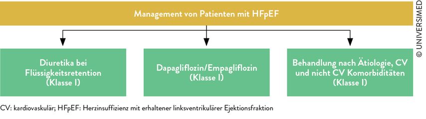 Update der Herzinsuffizienz-Leitlinie - Allgemeinmedizin - Universimed - Medizin im Fokus